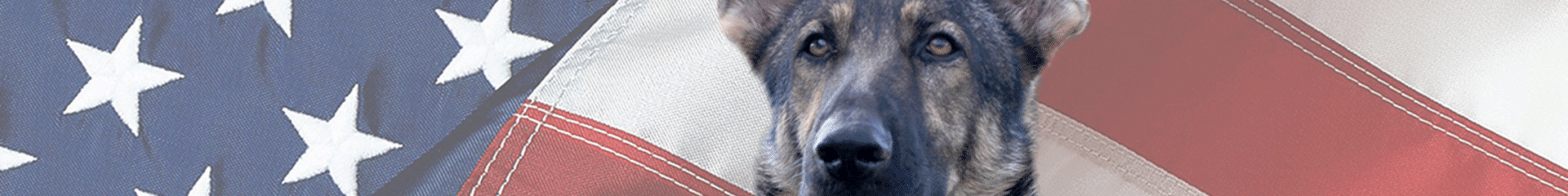 What Are Service Dogs? - Guardian Angels Medical Service Dogs