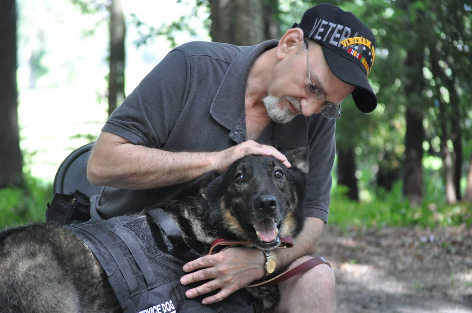 Difference Between Service Dog and Emotional Support Animal - Guardian ...