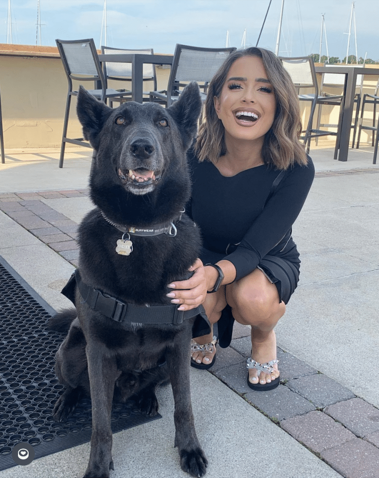 Guardian Angels on Fox 2 News Detroit with Erica Francis - Guardian ...