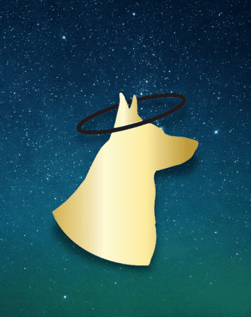 Gala of Angels-2022-DonationPage - Guardian Angels Medical Service Dogs