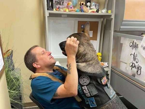 Guide to Introducing Your Service Dog at Work - Guardian Angels Medical ...