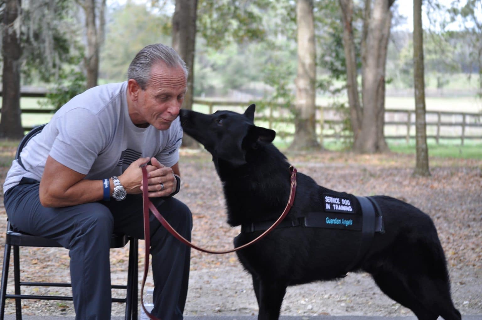 Bringing a Service Dog on International Travel - Guardian Angels ...