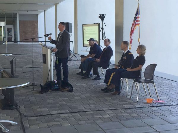 History of Service Dogs and Current Laws - Guardian Angels Medical ...