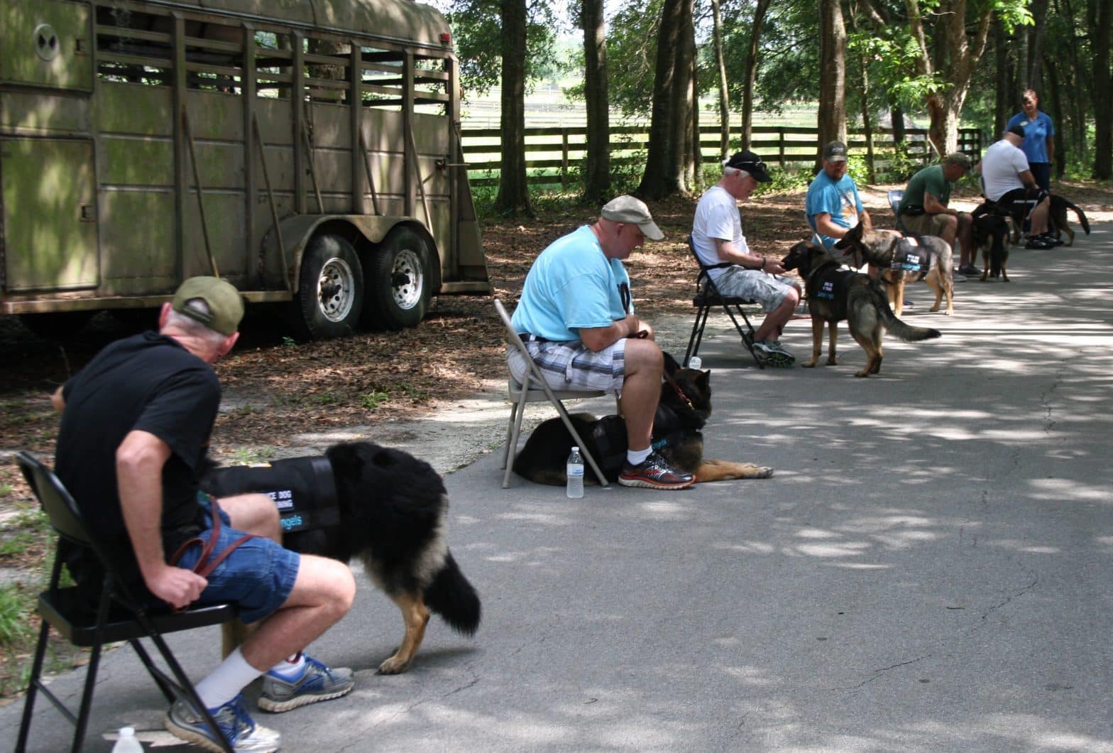 Transforming Lives - Guardian Angels Medical Service Dogs