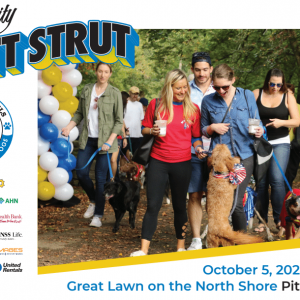 The Importance of Service Dog Etiquette: Do’s and Don’ts - Guardian ...